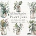 Boho Mason Jar 25pc PNG Bundle Mason Jar PNG Boho Plant PNG Boho Mason ...