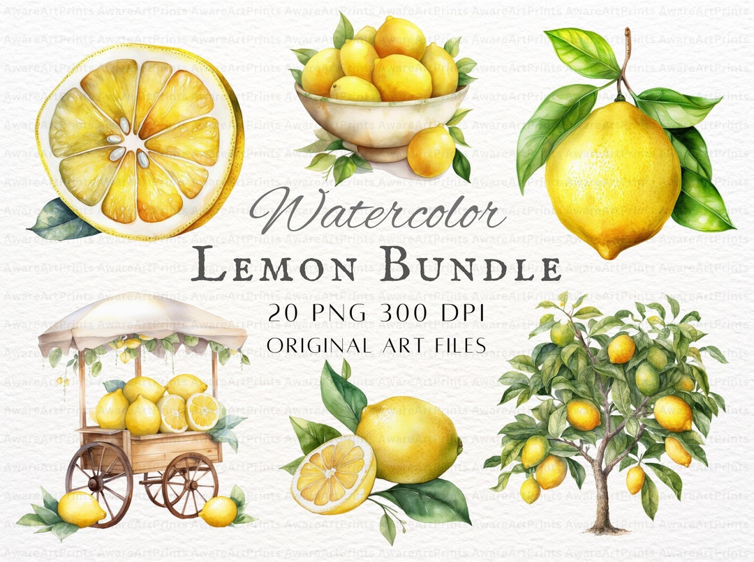Lemon 20pc PNG & JPEG Bundle | Lemon Clipart | Lemonade Clipart | Lemon ...