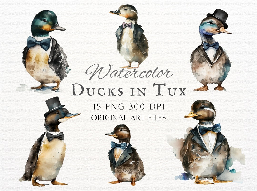 Tuxedo Ducks 15pc PNG & JPEG | Tuxedo Duck PNG | Fantasy Duck ...