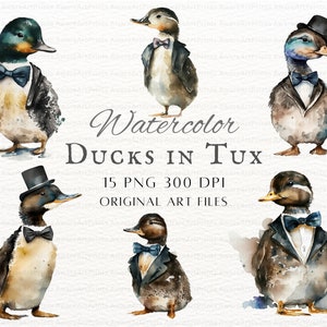 Tuxedo Ducks 15pc PNG & JPEG | Tuxedo Duck PNG | Fantasy Duck ...