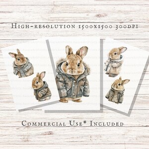 Bunny in Coat 15pc PNG & JPEG Set 2 | Coat Rabbit PNG | Funny Rabbit ...