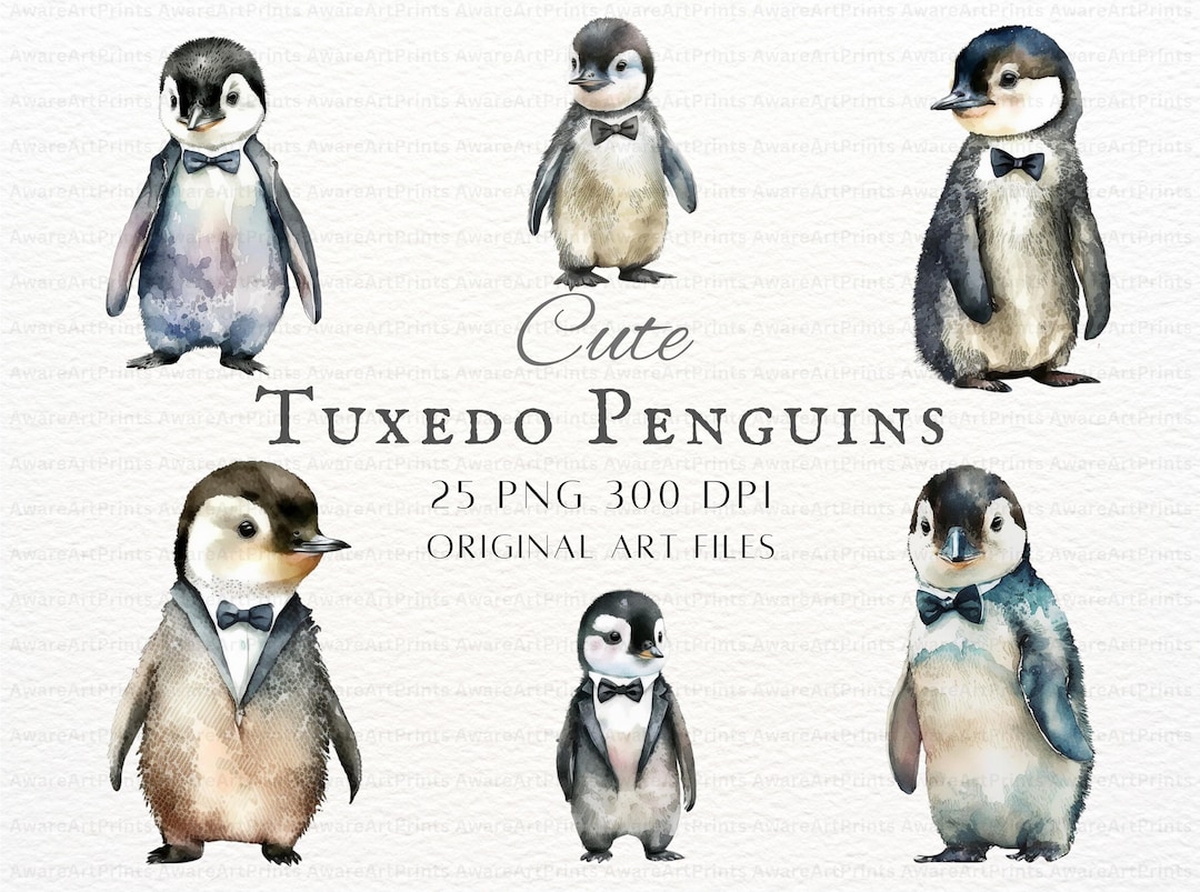 Tuxedo Baby Penguins 25pc PNG & JPEG | Watercolor Penguin PNG | Tuxedo ...