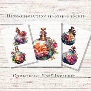 Floral Potion 20pc PNG & JPEG Bundle | Vintage Potion PNG | Potion ...