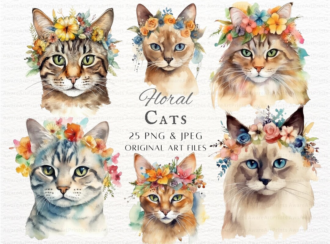 Floral Cat 25pc PNG & JPEG Bundle | Watercolor Floral Cat PNG | Kitten ...