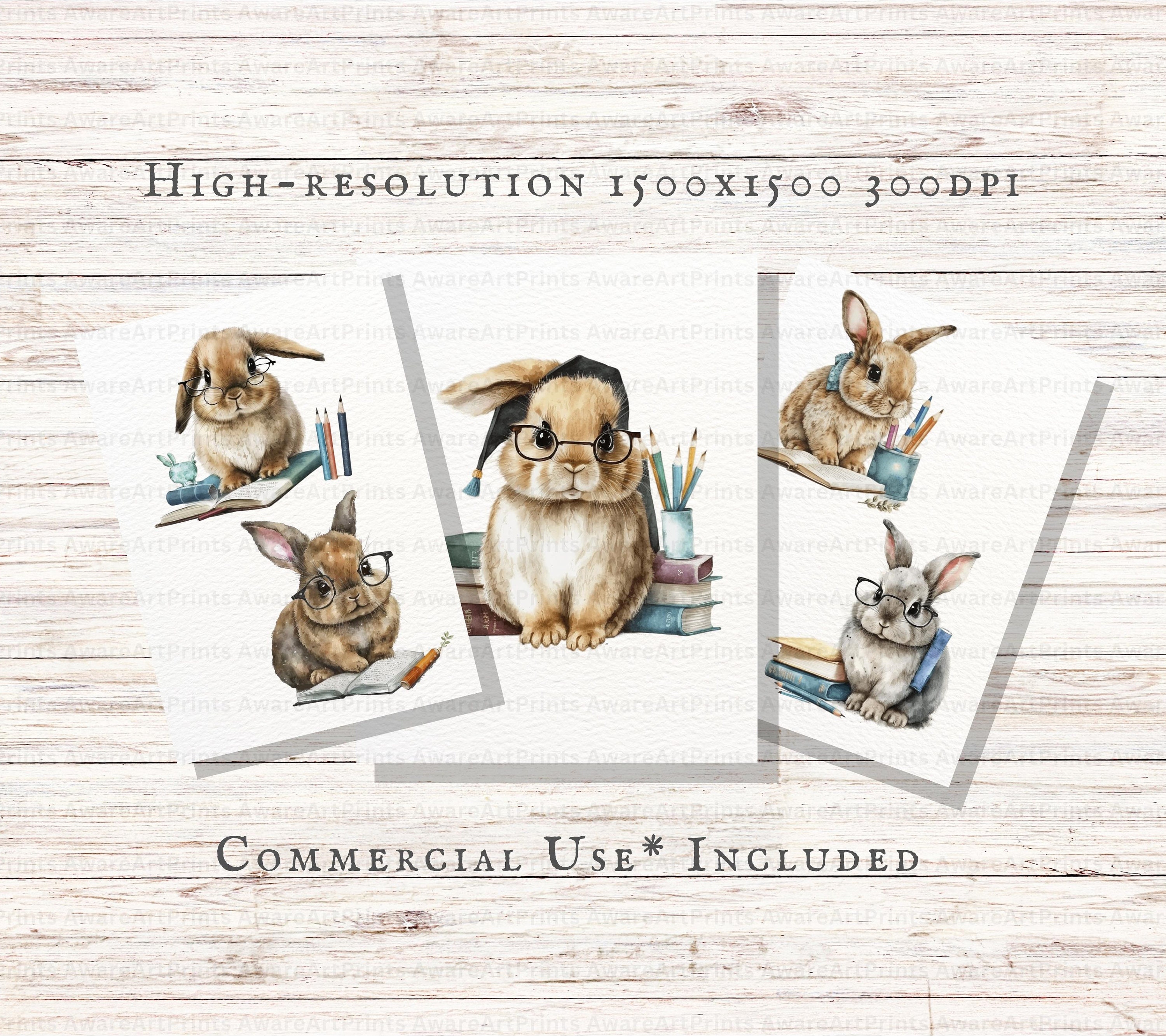 Watercolor School Bunny 15pc PNG & JPEG | Cute School Bunny PNG | Nerdy ...