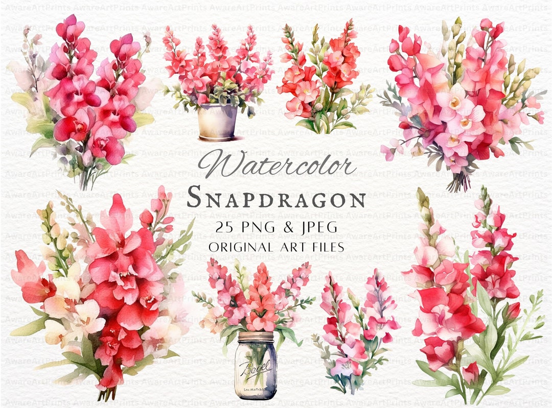 Snapdragon 25pc PNG & JPEG Bundle | Watercolor Snapdragon | Flower ...