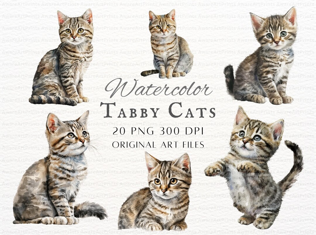 Tabby Cats 20pc PNG & JPEG | Watercolor Tabby Cat PNG | Tabby Cats ...