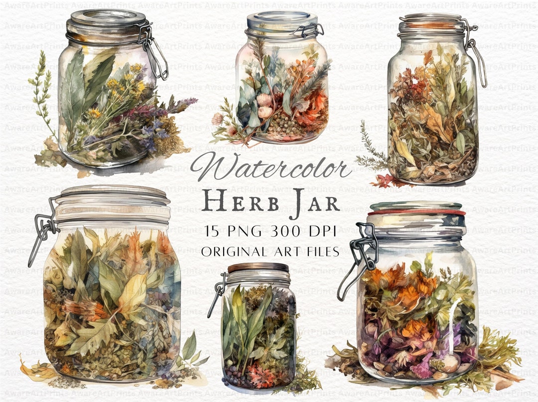 Herb Jar 15pc PNG Bundle | Herb Jar PNG | Watercolor Herb Jar PNG ...