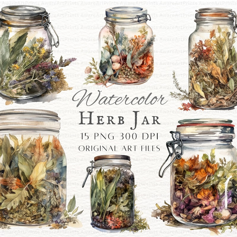 Herb Clipart - Etsy
