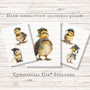 School Duckling 25pc PNG & JPEG | School Duckling Clipart | School ...