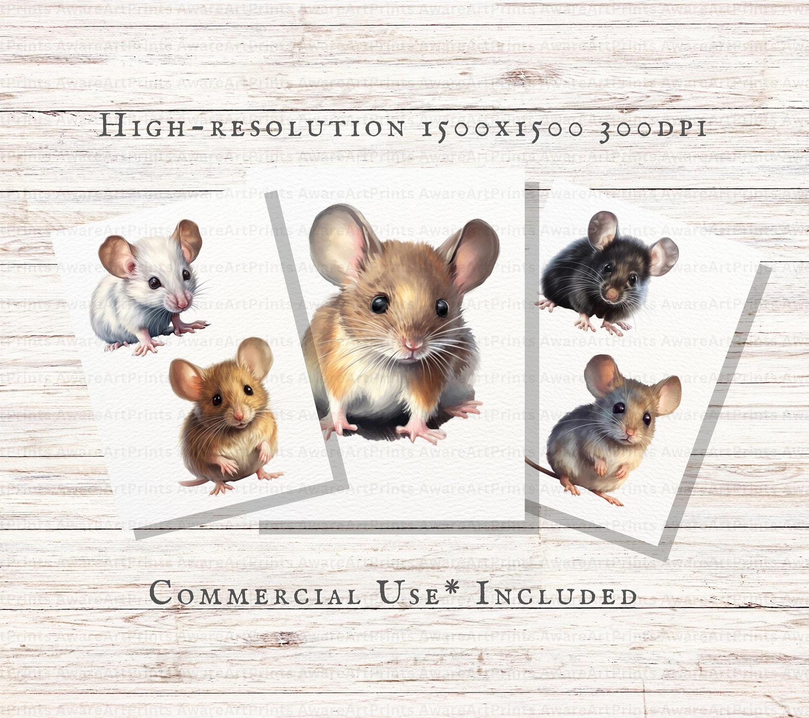 Mouse 20pc PNG & JPEG | Mouse Painting Clipart | Mouse PNG | Cute Mouse ...