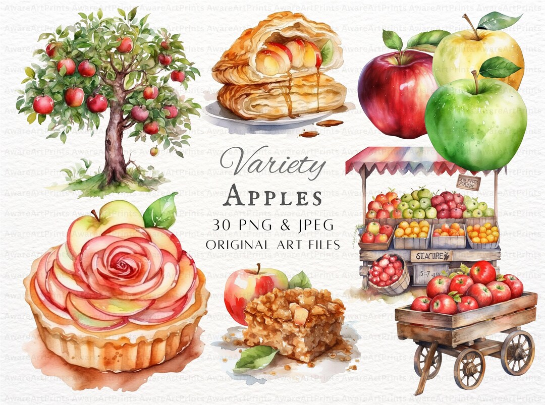 Apple 30pc PNG & JPEG Bundle | Watercolor Apple | Apple PNG | Apple ...