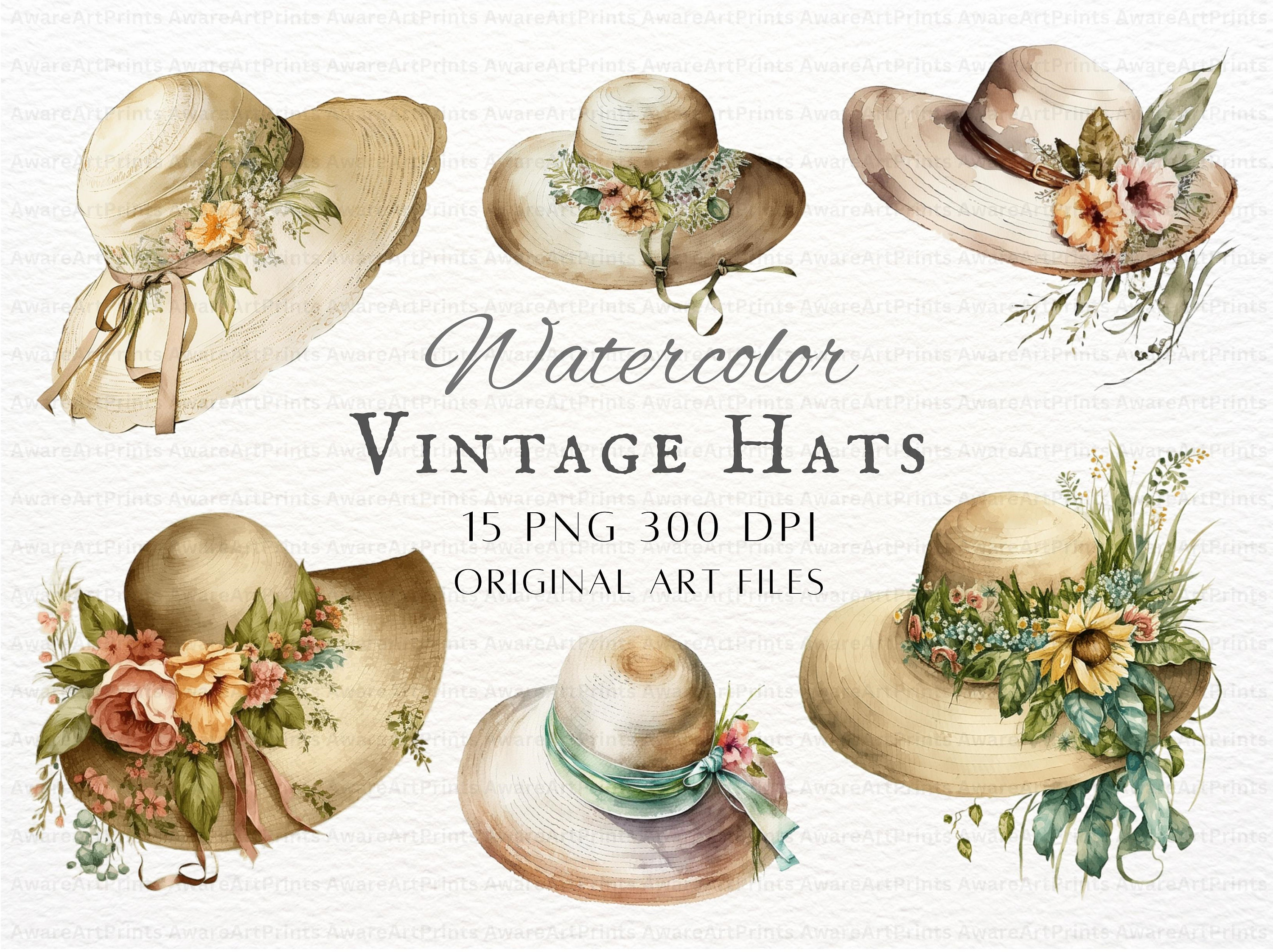Fancy Hats For Women Clip Art