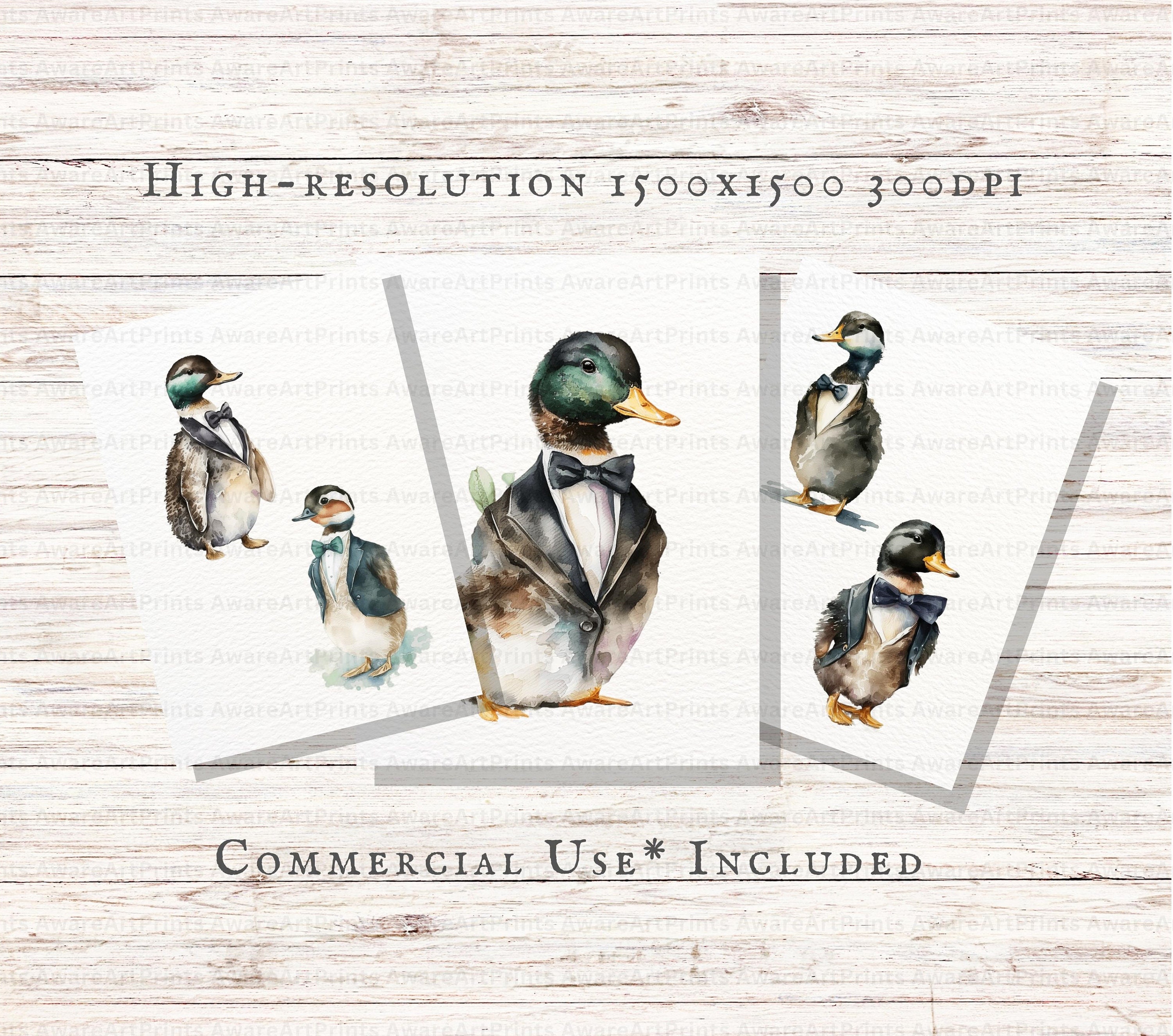 Tuxedo Ducks 15pc PNG & JPEG | Tuxedo Duck PNG | Fantasy Duck ...