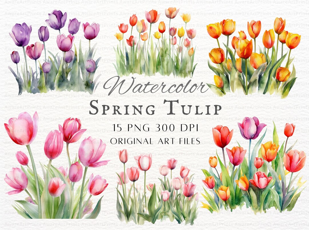 Spring Tulip 15pc PNG Bundle | Spring Tulips PNG | Tulip PNG ...