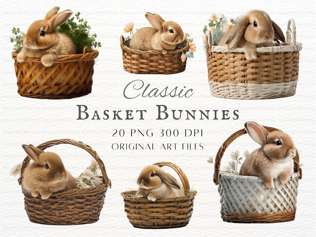 Bunny Basket Clipart 20pc PNG & JPEG | Basket Bunny Clipart | Bunny PNG ...