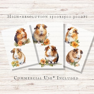 Guinea Pig 25pc PNG & JPEG Bundle | Watercolor Guinea Pig PNG | Guinea ...