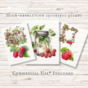 Raspberry Bundle 35pc PNG & JPEG Bundle | Watercolor Raspberry Clipart ...