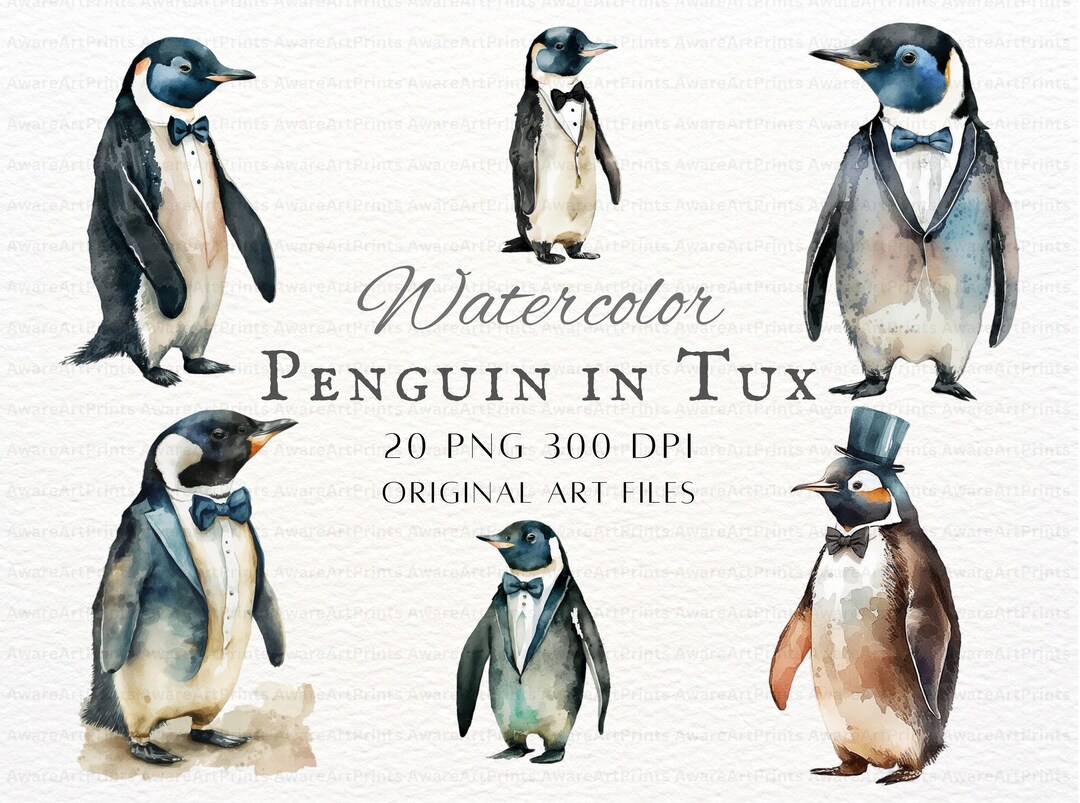 Tuxedo Penguin 20pc PNG & JPEG | Watercolor Tuxedo Penguin PNG ...