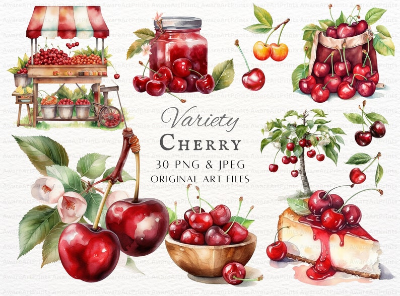 Cherry 30pc PNG & JPEG Bundle | Watercolor Cherry | Cherry PNG | Cherry ...