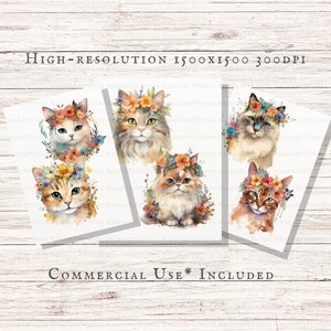 Floral Cat 25pc PNG & JPEG Bundle | Watercolor Floral Cat PNG | Kitten ...