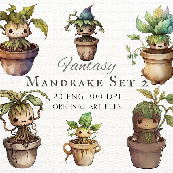 Mandrakes - Etsy