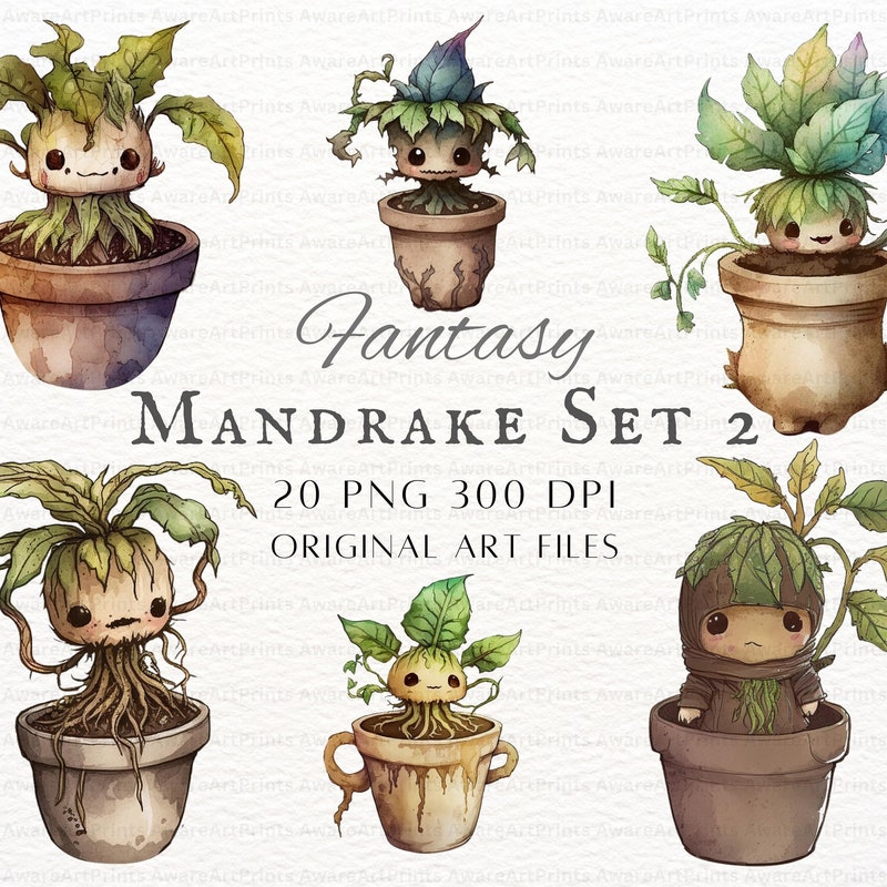 Fantasy Labels Commercial - Etsy