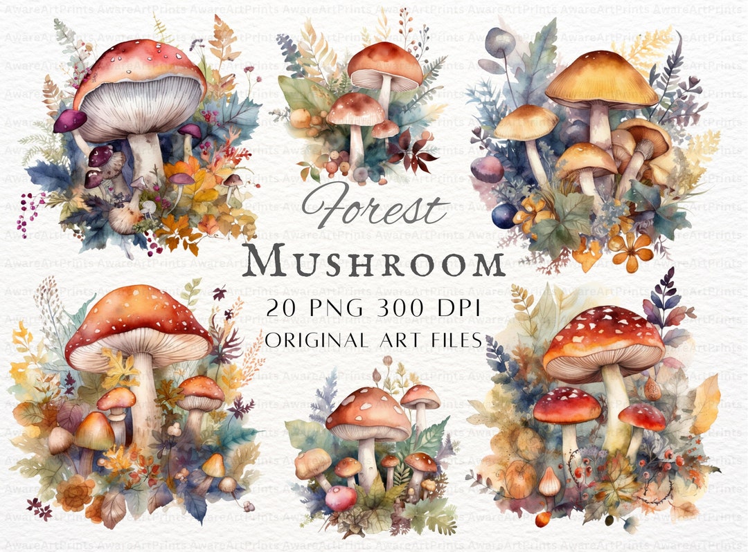 Forest Mushroom 20pc PNG Bundle | Watercolor Mushroom PNG | Fantasy ...