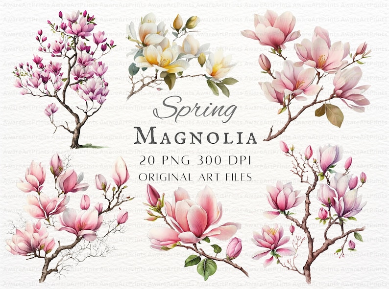 Spring Magnolia 20pc PNG Bundle Magnolia PNG Magnolia Tree - Etsy