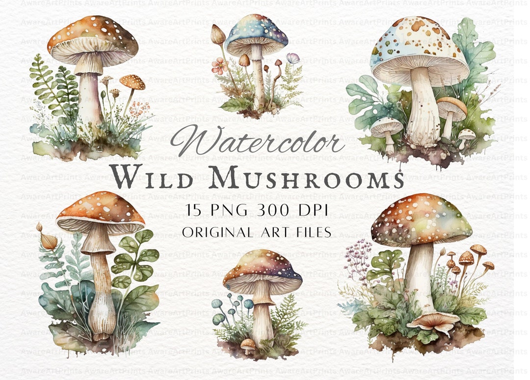 Watercolor Mushroom 15 PNG Bundle | Watercolor Mushroom Clipart ...