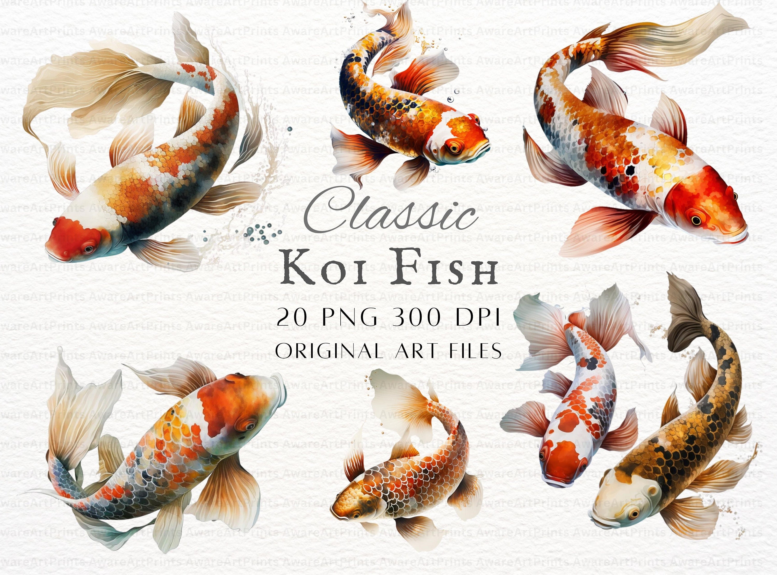 Koi Clipart Bundle 20pc PNG & JPEG | Koi PNG | Koi Clipart | Koi Fish ...