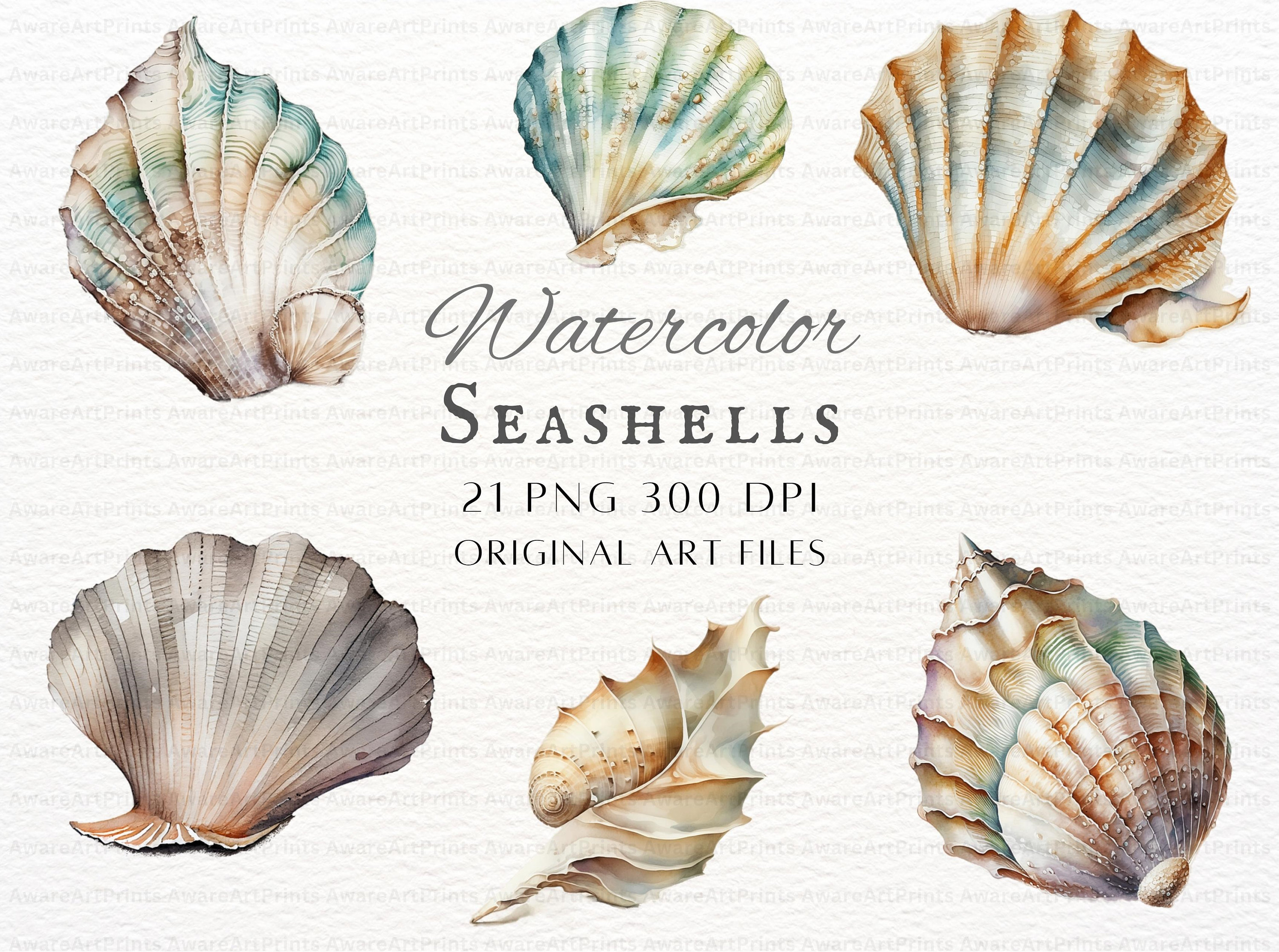 Seashells Clipart 21pc Bundle | Watercolor Seashells Clipart ...