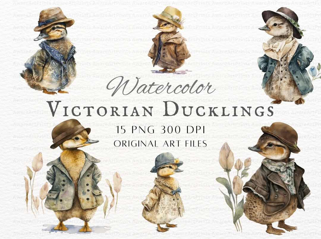 Watercolor Victorian Duckling 15pc PNG & JPEG Bundle | Watercolor ...