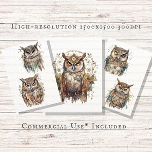 Boho Owls 20pc Bundle | Boho Owl PNG | Owl JPEG | Vintage Owl ...
