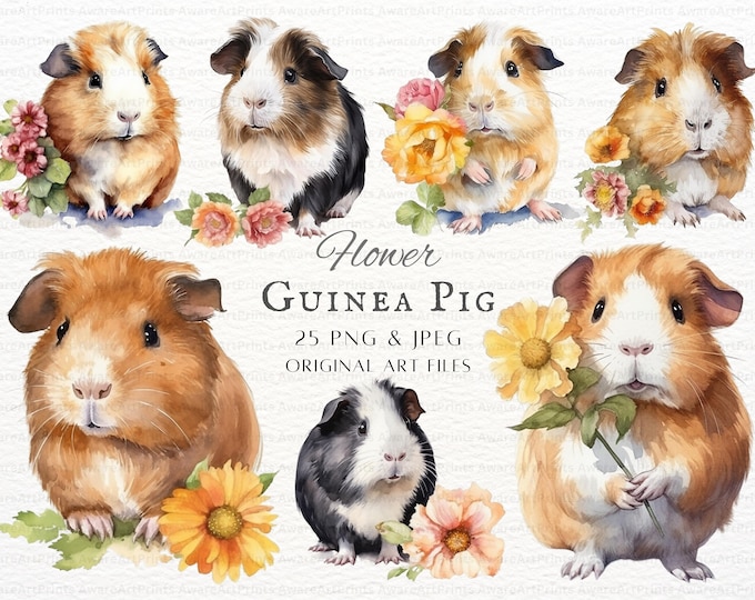 Watercolor Guinea Pig Clipart, Pet Art (digital Download) - Etsy Canada