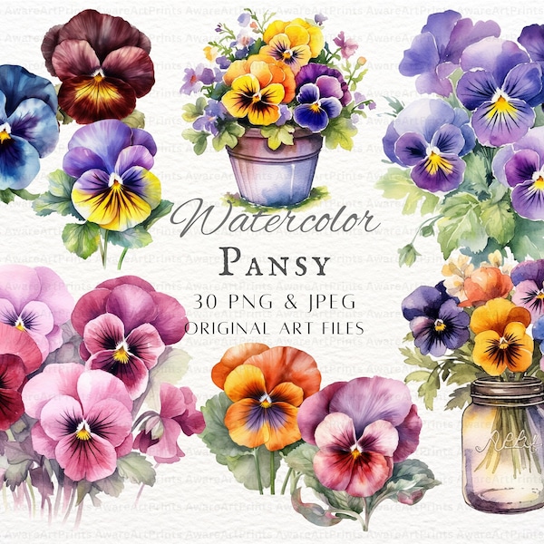 Pansy Art - Etsy