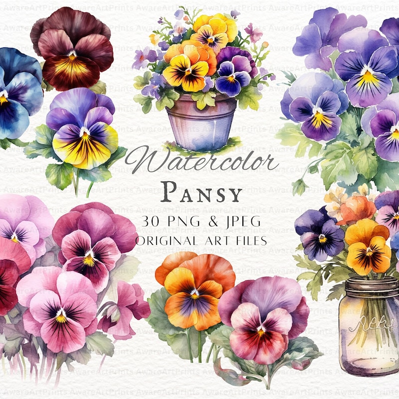 Watercolor Pansy - Etsy