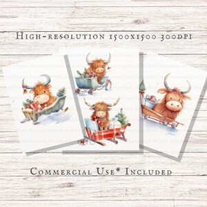 Highland Cow Sled 20pc PNG & JPEG Bundle | Highland Cow PNG | Highland ...