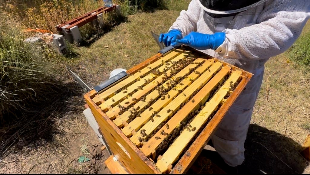 Bee Hive Box Rack Stainless Steel - Etsy