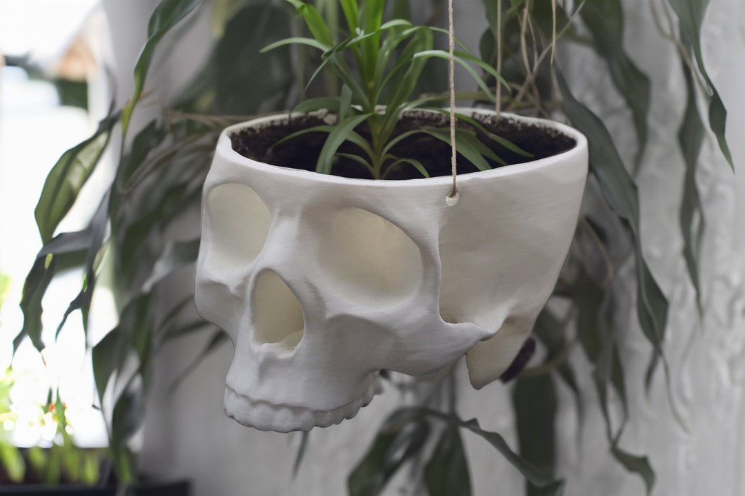 Hanging Skull Succulent Planter | Fall and Halloween Decor | 3D Printed ...
