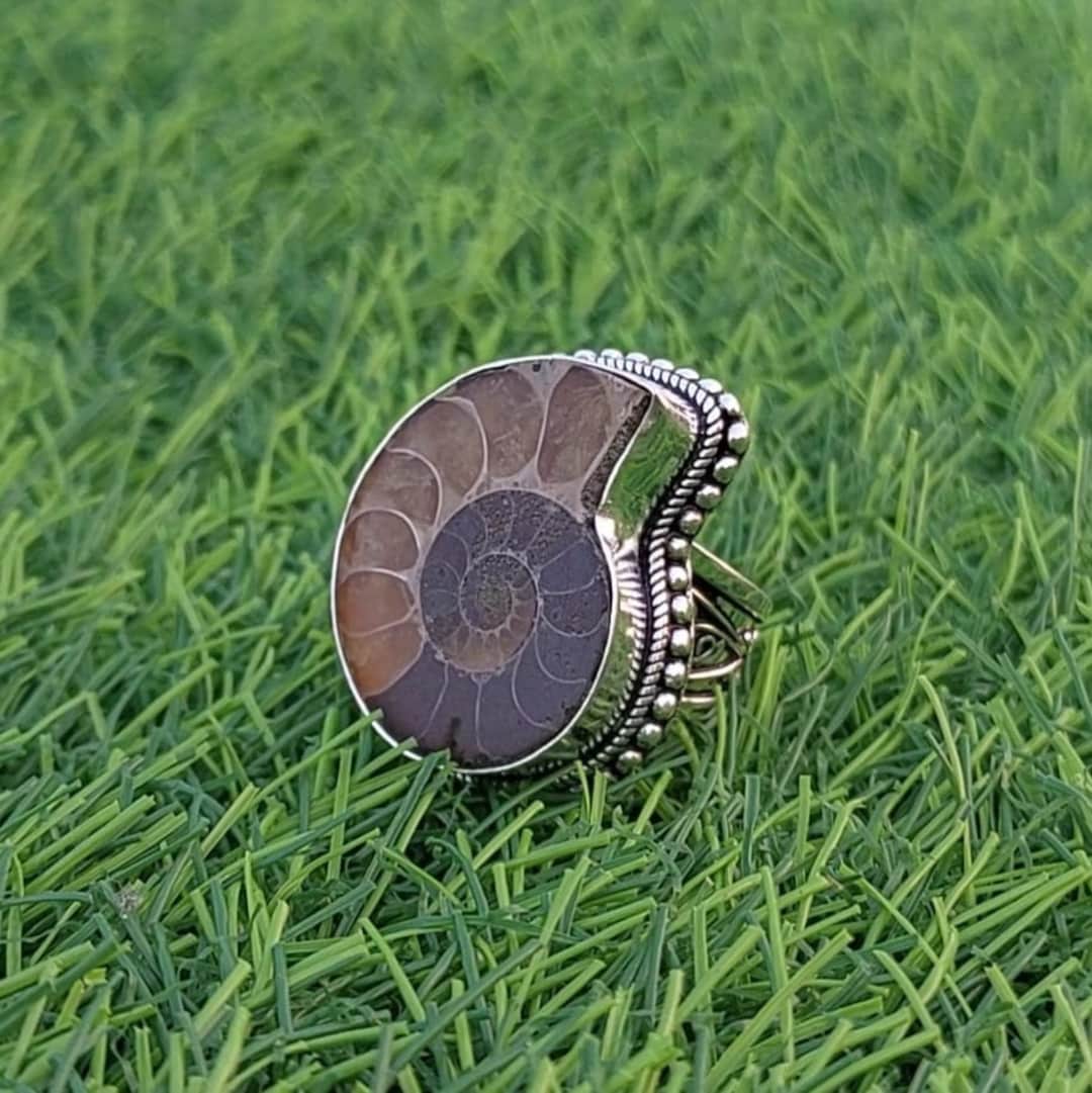 Ammonite Fossil Gemstone 92.5 Sterling Silver Ring, Natural Gemstone ...