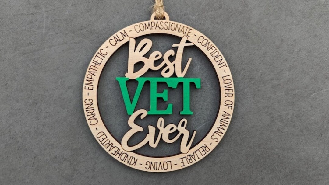 DIY Paint Your Own Wooden Best Vet Ever Gift Tag, Veterinarian Ornament ...