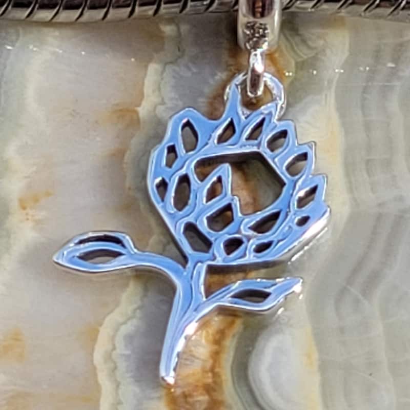 Protea - Etsy