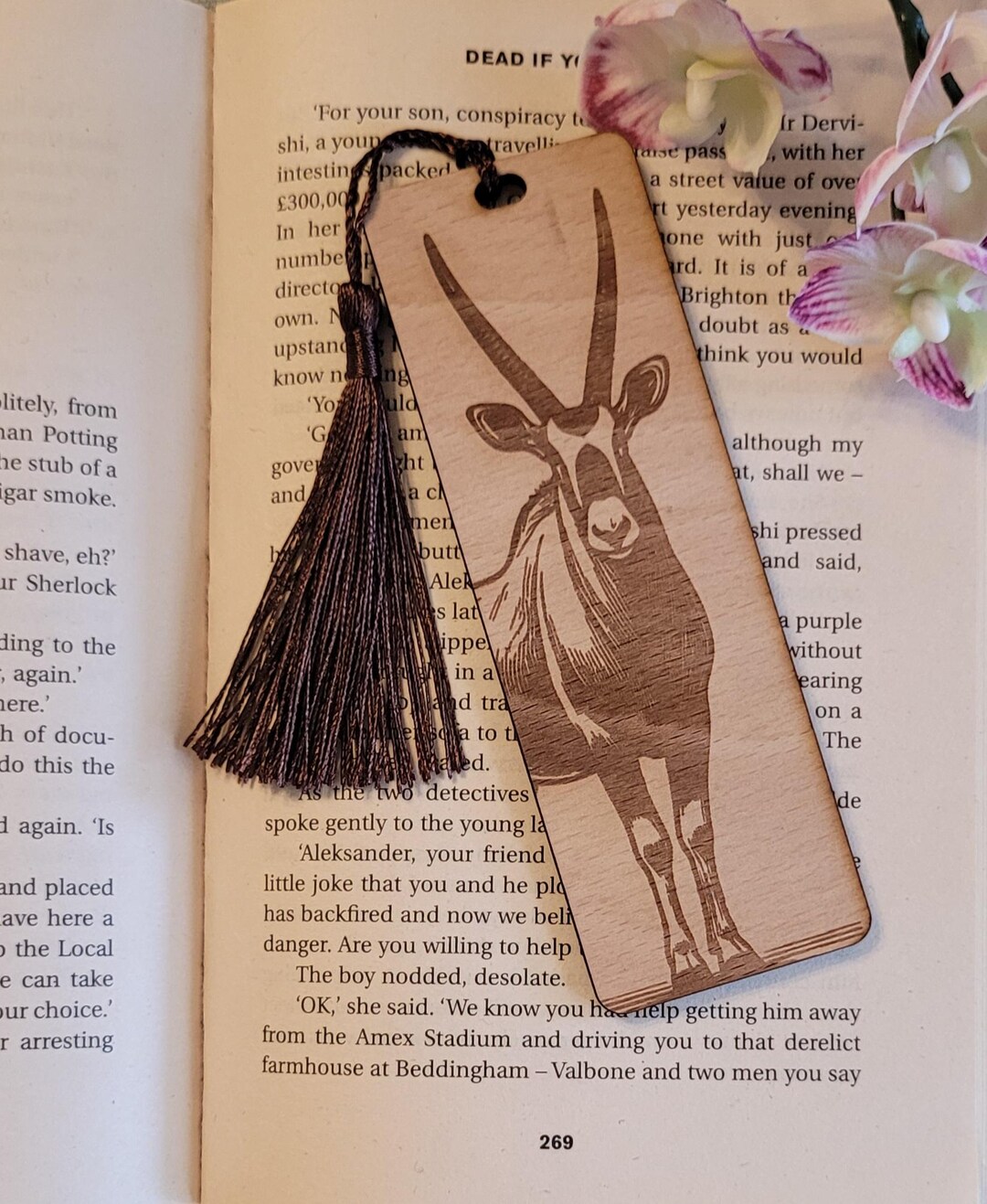 Gemsbok African Safari, South African Nature Custom Book Wooden ...