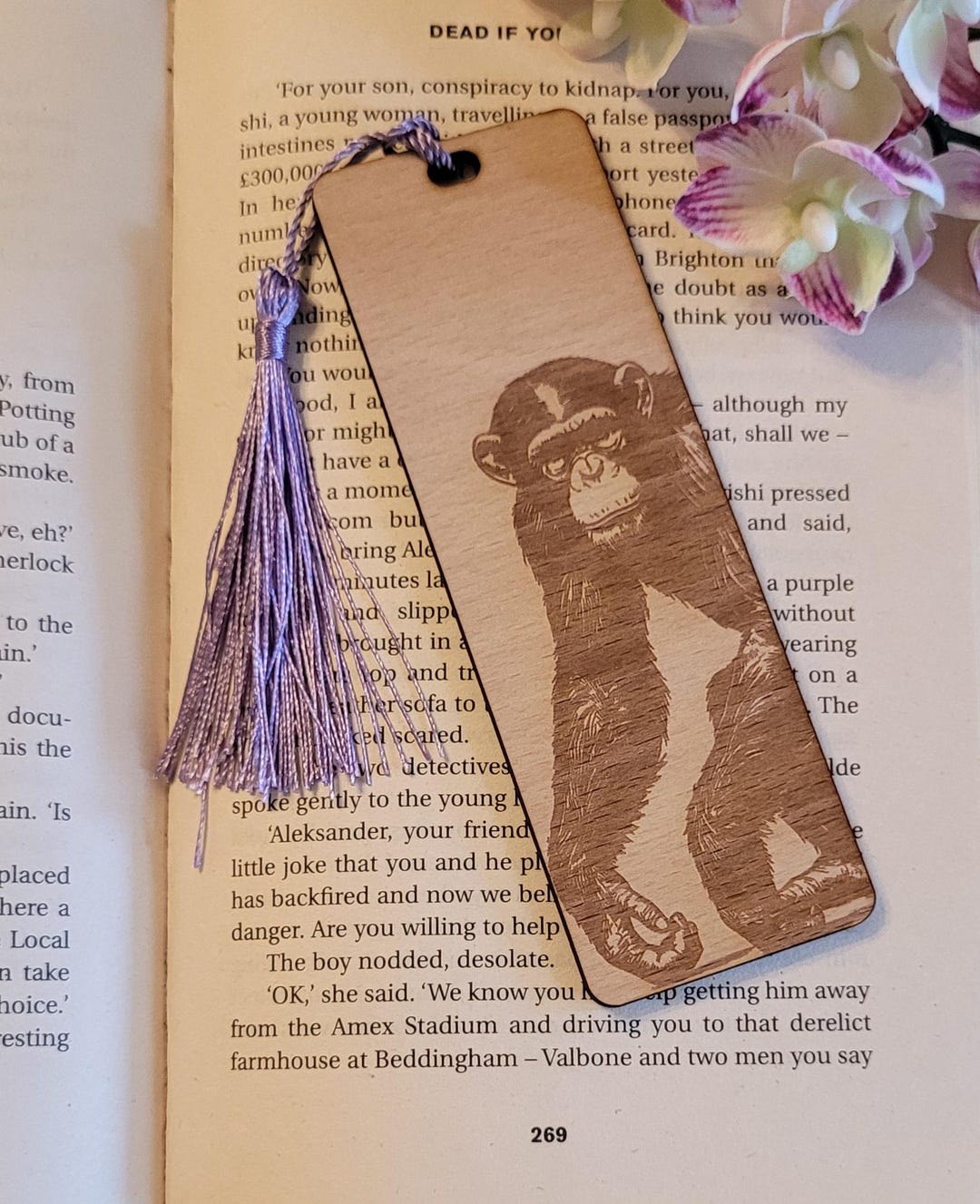 Chimpanzee African Safari, African Nature Custom Book Wooden ...