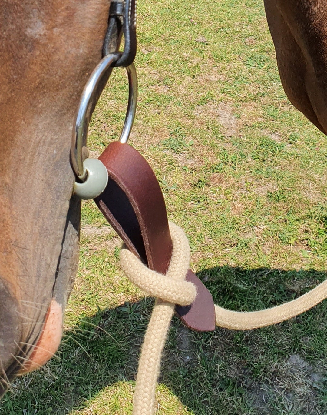 Slobber Straps - Etsy