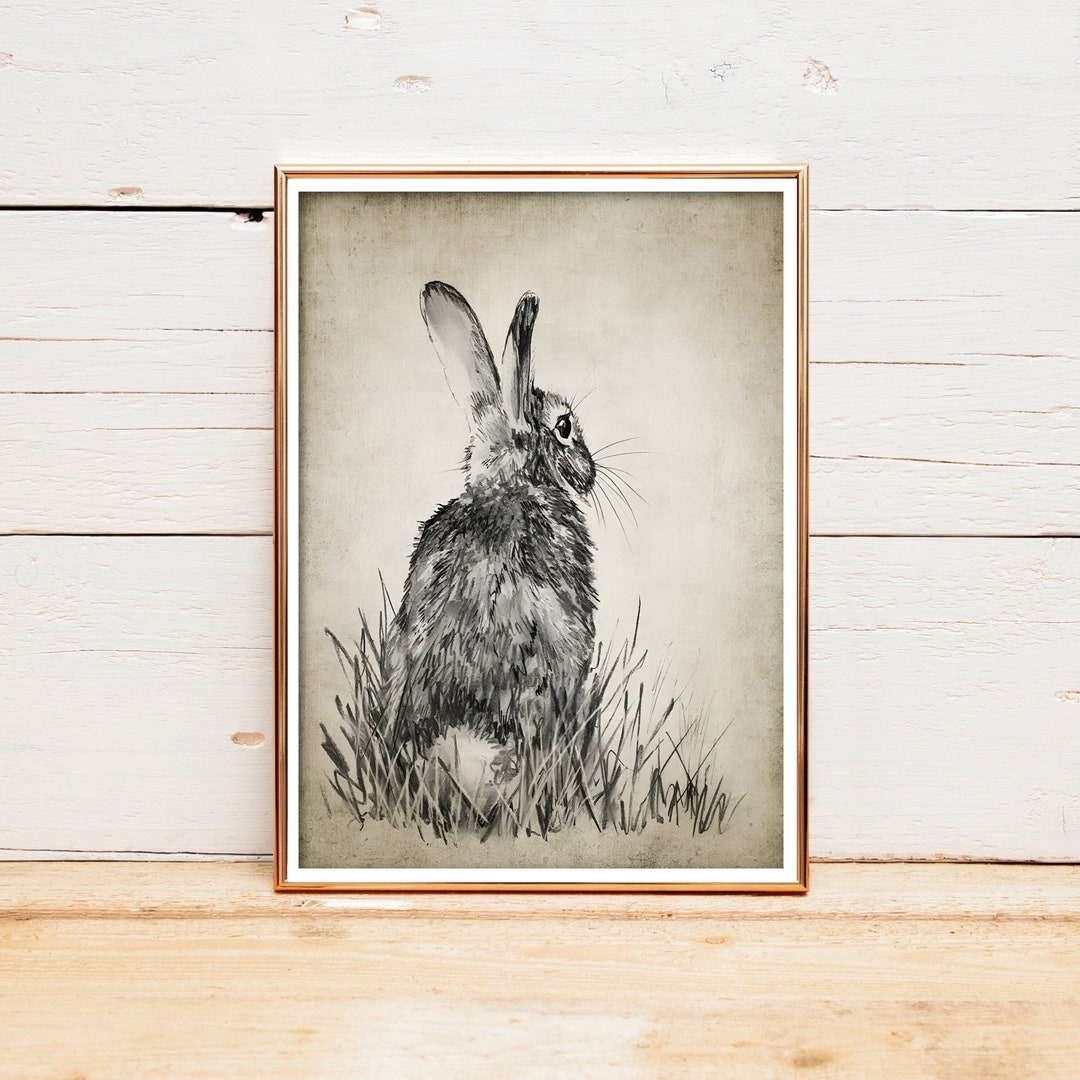 Rabbit Poster, Bunny Drawing, Rabbit Wall Art, Rabbit in the Grass ...