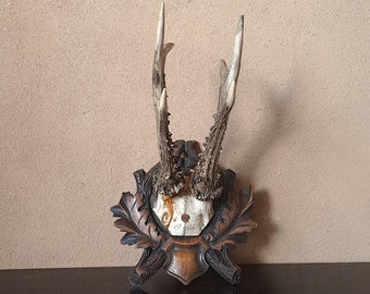 Vintage Carved Wooden Hunting Trophy Board With Deer Antlers on a Piece ...