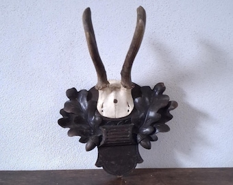 A Pair of Antique Carved Wooden Hunting Trophy Boards With Deer Antlers ...