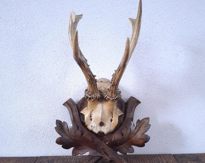 Vintage Smaller Carved Wooden Hunting Trophy Board With Deer Antlers on ...